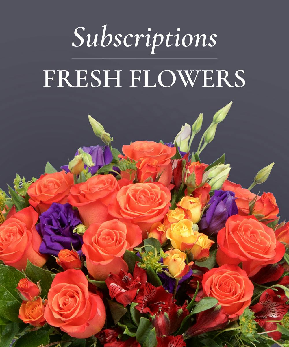 Executive Fresh Flower Subscriptions | Tucson Florist